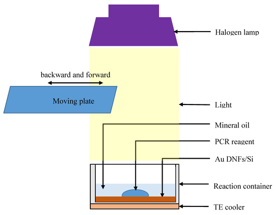 Light Energy Conversion Surface with Gold Dendritic Nanoforests/Si Chip ...