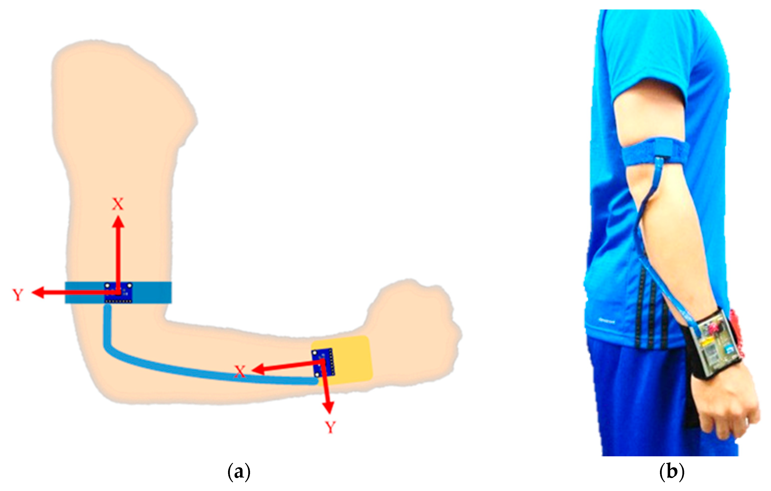A Real-Time Wearable Assist System for Upper Extremity Throwing Action ...