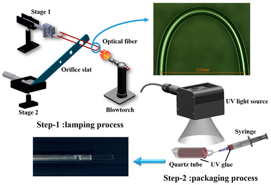 A Lamping U-Shaped Fiber Biosensor Detector for MicroRNA
