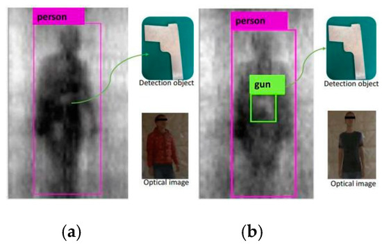 Real-time Concealed Object Detection from Passive Millimeter Wave ...
