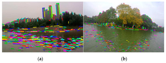 A Novel Water-Shore-Line Detection Method for USV Autonomous Navigation