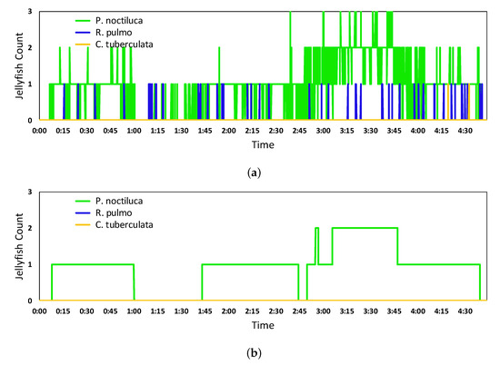 Jellytoring: Real-Time Jellyfish Monitoring Based on Deep Learning Object Detection