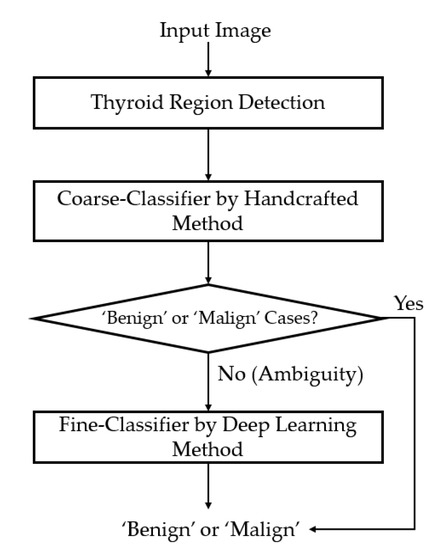 Sensors | Free Full-Text | Ultrasound Image-Based Diagnosis of ...