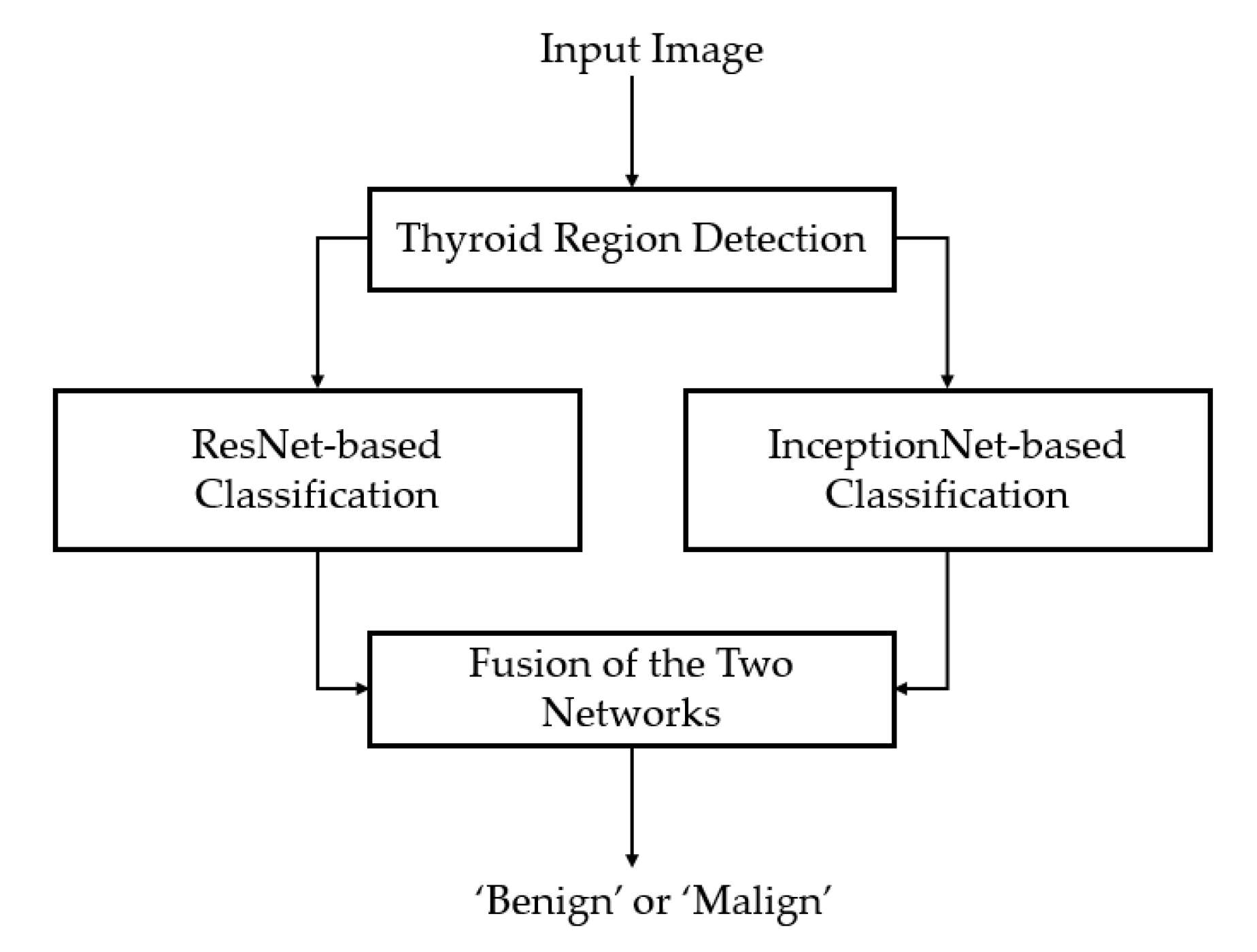 Sensors | Free Full-Text | Ultrasound Image-Based Diagnosis of ...