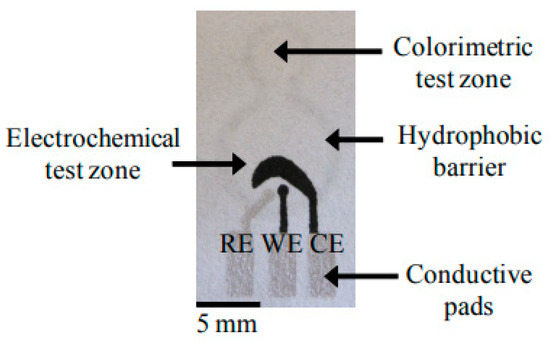 Cytokine and Cancer Biomarkers Detection: The Dawn of Electrochemical ...