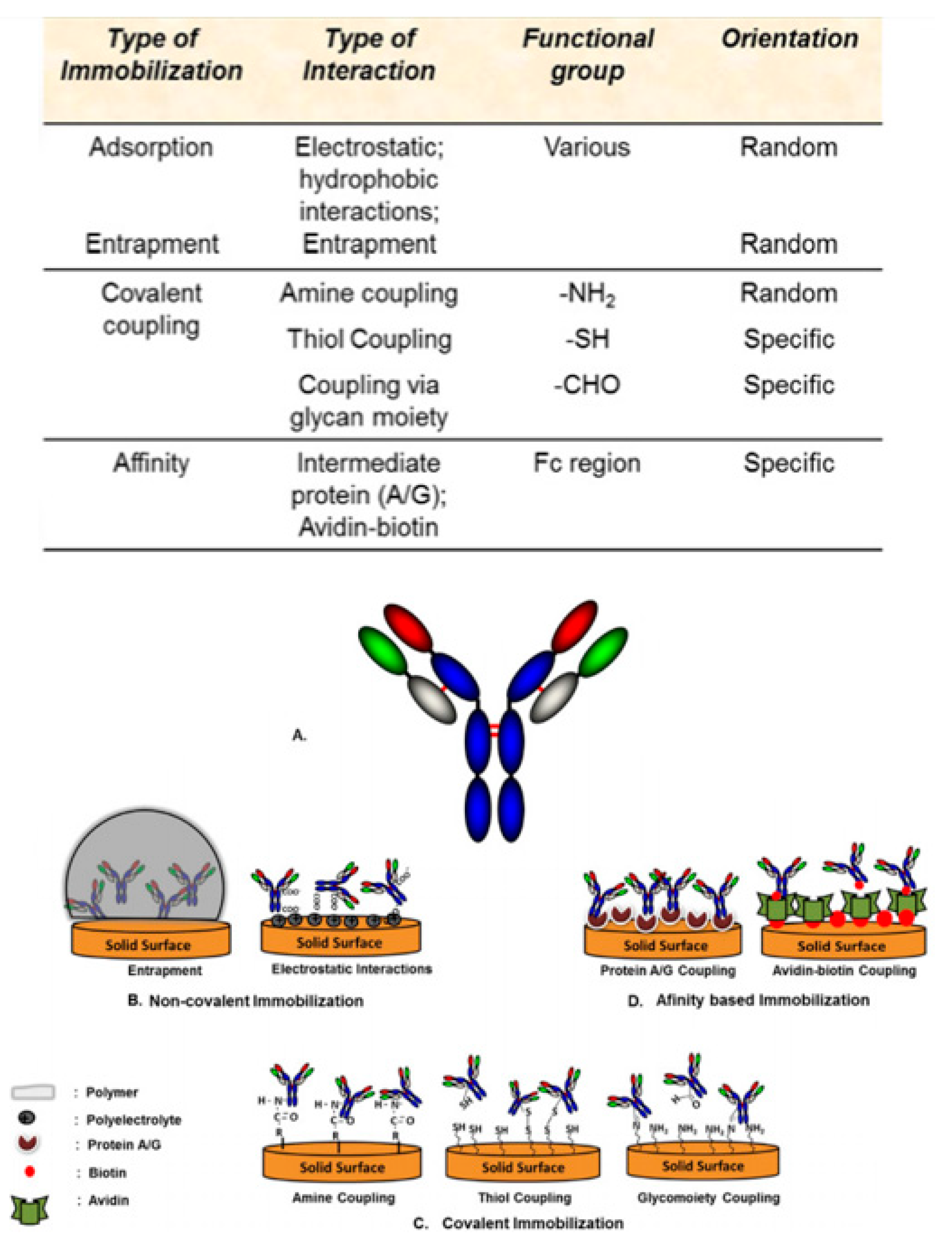 Cytokine and Cancer Biomarkers Detection: The Dawn of Electrochemical ...