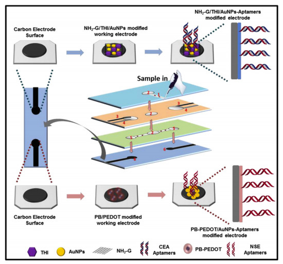 Cytokine and Cancer Biomarkers Detection: The Dawn of Electrochemical ...