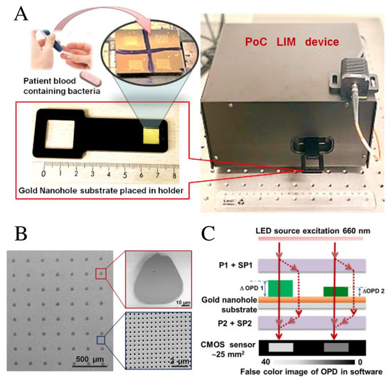 Microfluidic Point-of-Care Devices: New Trends and Future Prospects for ...