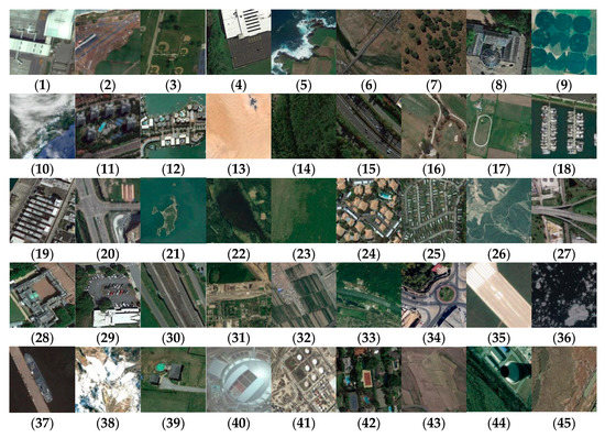 An Efficient and Lightweight Convolutional Neural Network for Remote ...