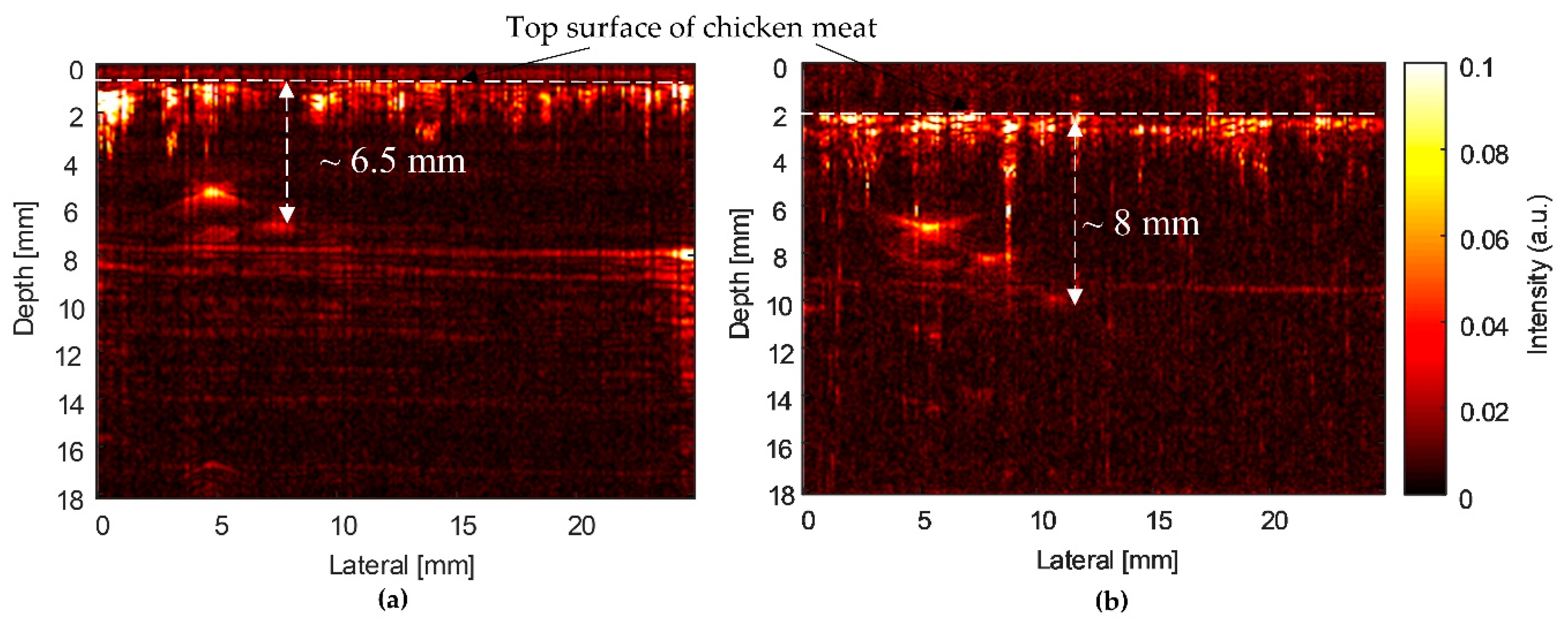 Improved Depth-of-Field Photoacoustic Microscopy with a Multifocal ...