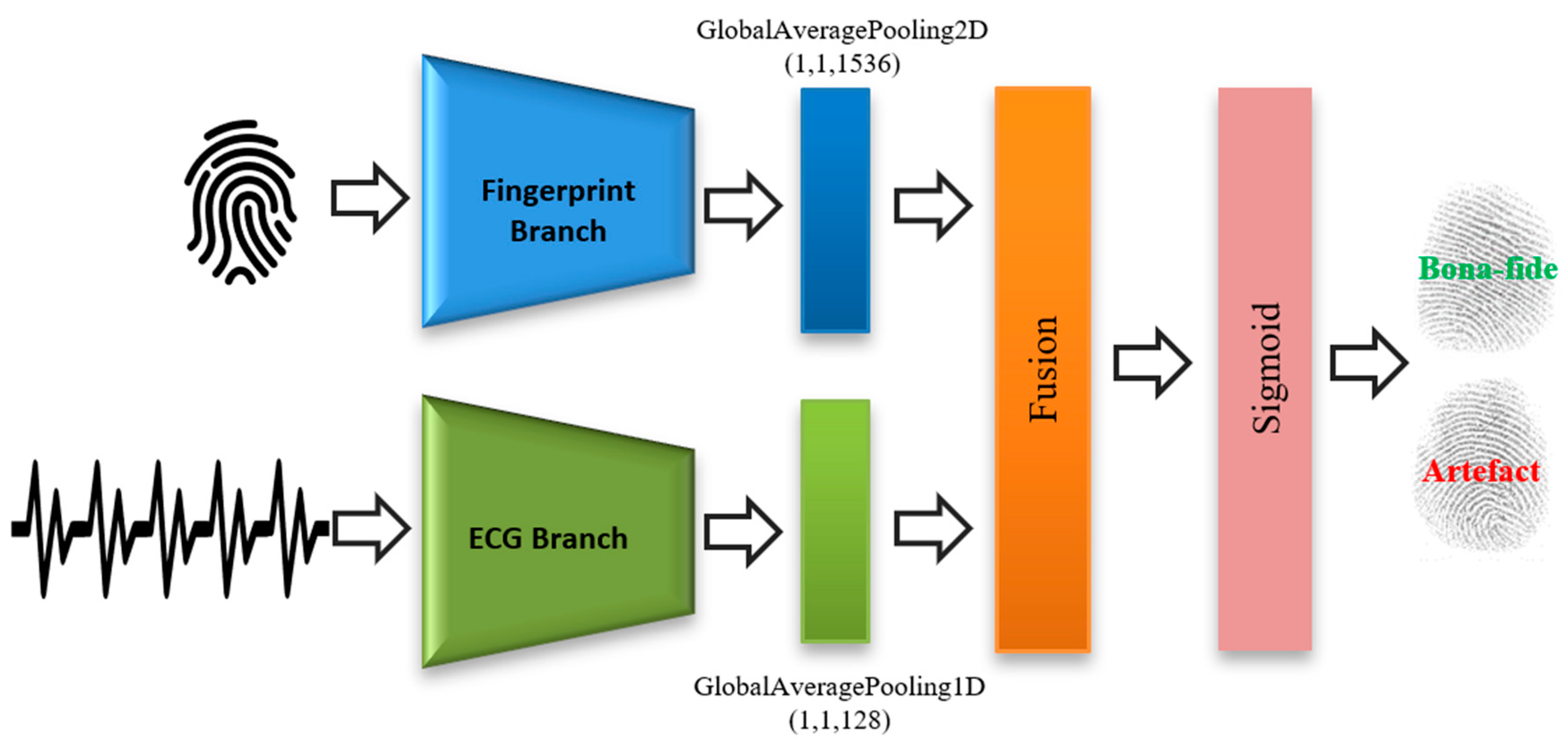 End-to-End Deep Learning Fusion of Fingerprint and Electrocardiogram ...