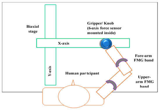 Estimating Exerted Hand Force via Force Myography to Interact with a ...