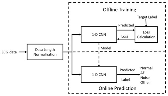 Detection of Atrial Fibrillation Using 1D Convolutional Neural Network
