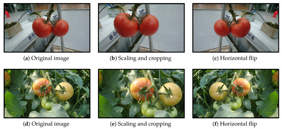 YOLO-Tomato: A Robust Algorithm for Tomato Detection Based on YOLOv3