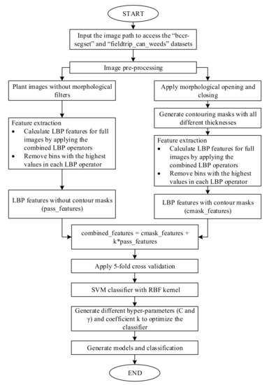 Performances of the LBP Based Algorithm over CNN Models for Detecting ...
