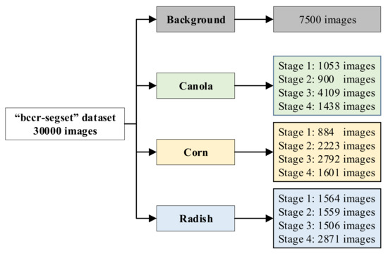 Performances of the LBP Based Algorithm over CNN Models for Detecting ...
