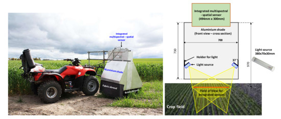 Performances of the LBP Based Algorithm over CNN Models for Detecting Crops and Weeds with ...