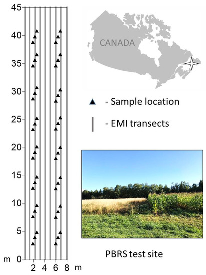Comparison of Multi-Frequency and Multi-Coil Electromagnetic Induction ...