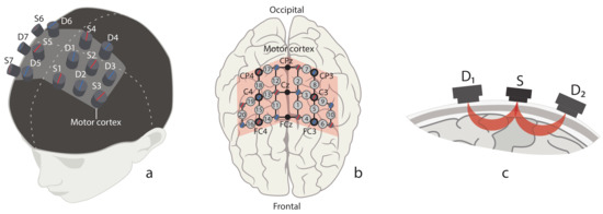 Functional Near-Infrared Spectroscopy for the Classification of Motor ...