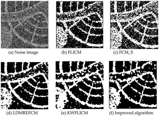 Sensors | Free Full-Text | A Local Neighborhood Robust Fuzzy Clustering Image Segmentation ...