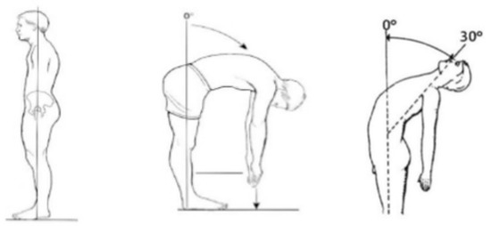 Trunk Range of Motion Is Related to Axial Rigidity, Functional Mobility ...