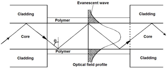 Fiber-Optic Skew Ray Sensors