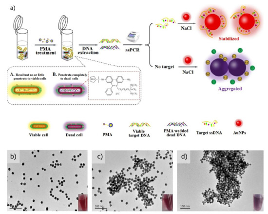 Advanced Methods for Detection of Bacillus cereus and Its Pathogenic ...