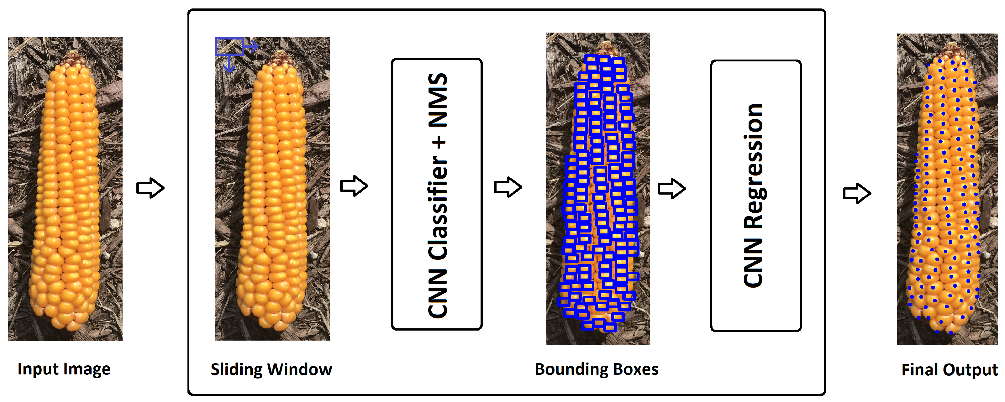 Convolutional Neural Networks for Image-Based Corn Kernel Detection and Counting