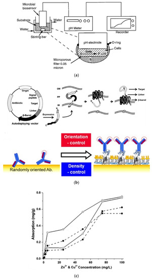 Surface Display Technology for Biosensor Applications: A Review