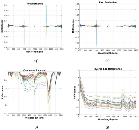 Hyperspectral Inversion of Soil Organic Matter Content Based on a ...