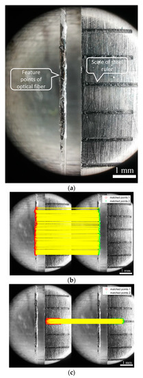 Strain Measurement Based on Speeded-up Robust Feature Algorithm Applied to Microimages from a ...