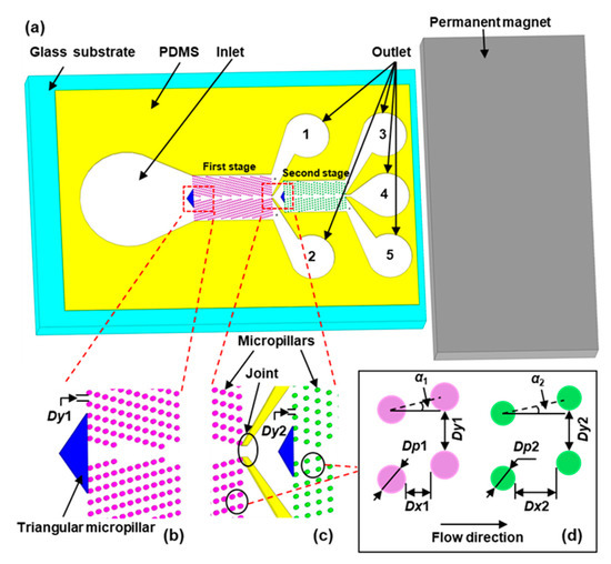 Deterministic Lateral Displacement-Based Separation of Magnetic Beads and Its Applications of ...