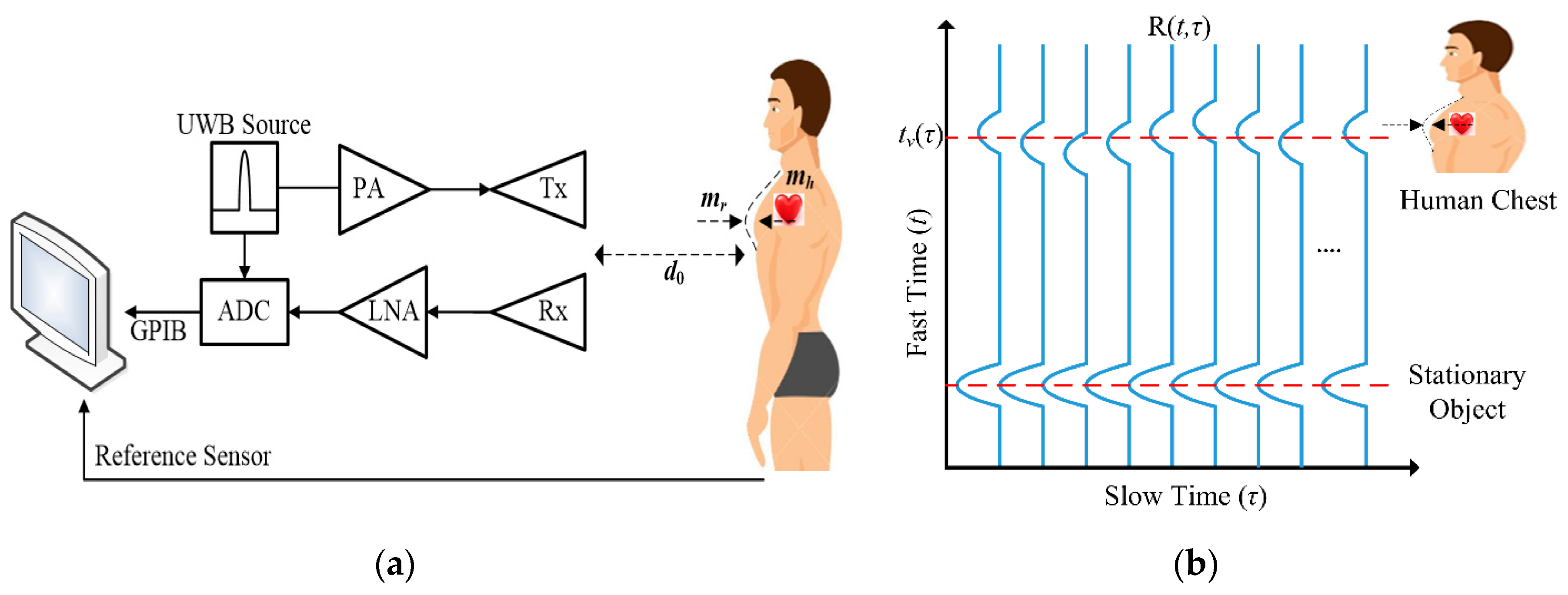 Optimal Central Frequency for Non-Contact Vital Sign Detection Using Monocycle UWB Radar