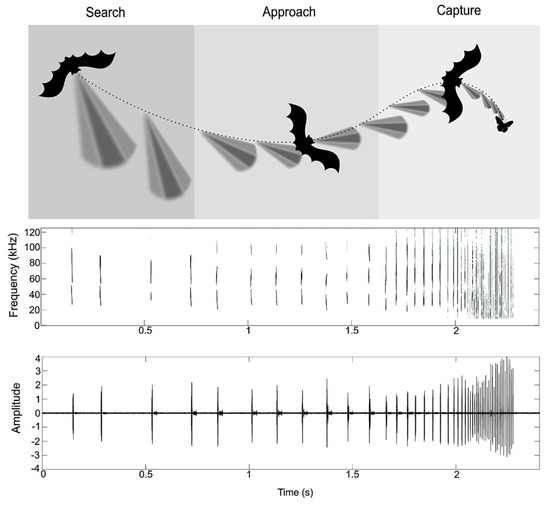 Adaptive Echolocation and Flight Behaviors in Bats Can Inspire ...