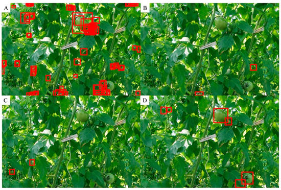 Sensors | Free Full-Text | Intact Detection of Highly Occluded Immature ...