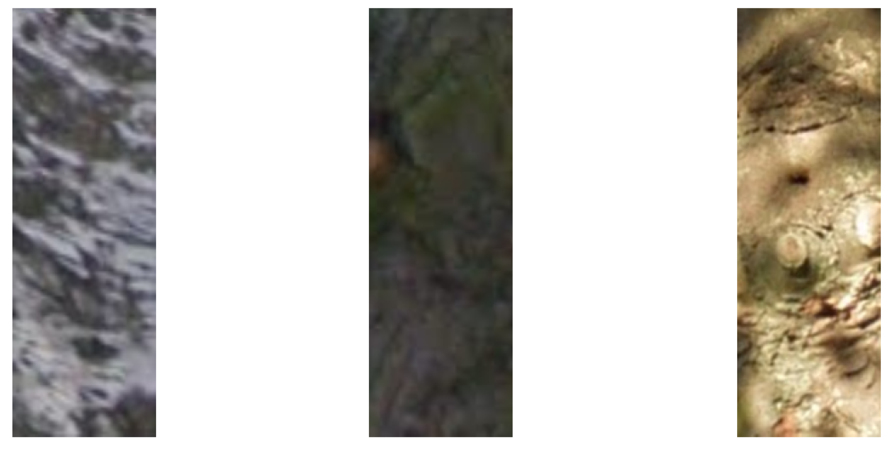 Big Data Driven Detection of Trees in Suburban Scenes Using Visual ...