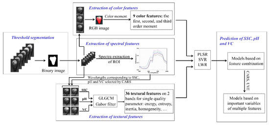 Sensors | Free Full-Text | Non-Destructive Detection of Strawberry ...