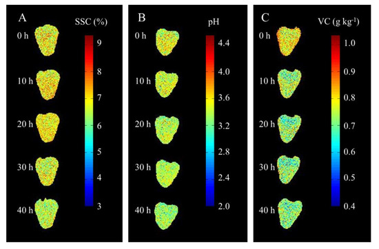 Non-Destructive Detection of Strawberry Quality Using Multi-Features of ...