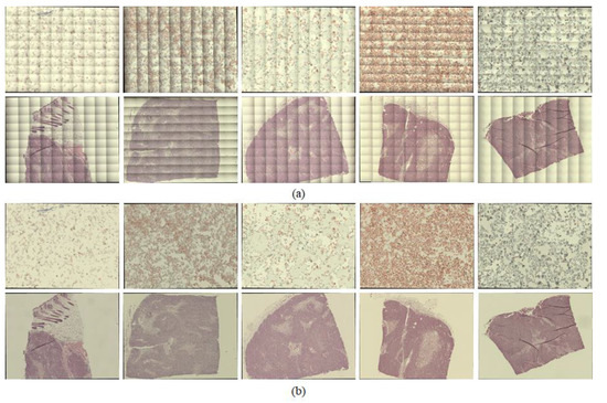 Sensors | Free Full-Text | Simple Shading Correction Method for ...