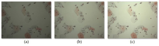 Sensors | Free Full-Text | Simple Shading Correction Method for ...