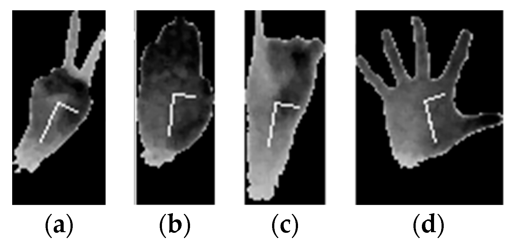 A PointNet-Based Solution for 3D Hand Gesture Recognition