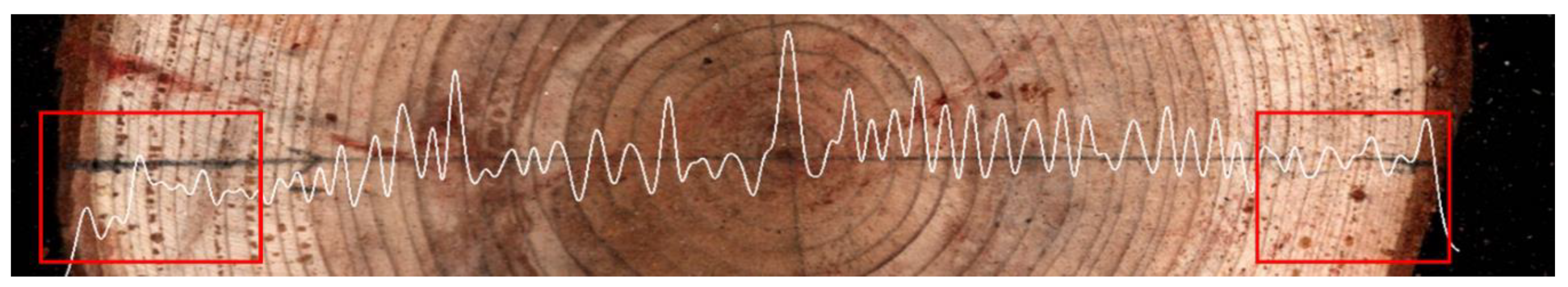 Design and Test of a Microdestructive Tree-Ring Measurement System