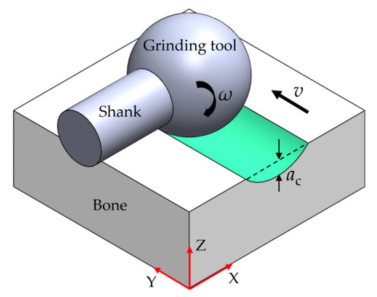 Investigation of the Effect of Process Parameters on Bone Grinding ...