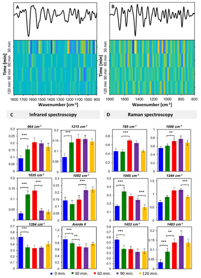 Vibrational Spectroscopy as a Sensitive Probe for the Chemistry of ...