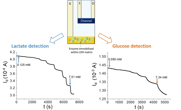 Sensors | Free Full-Text | Layered Double Hydroxide-Modified Organic ...