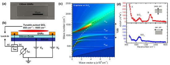 Graphene Plasmonics in Sensor Applications: A Review