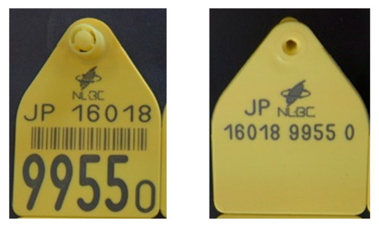 Automatic Cow Location Tracking System Using Ear Tag Visual Analysis