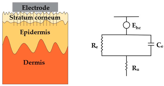 Dry Electrodes for Human Bioelectrical Signal Monitoring