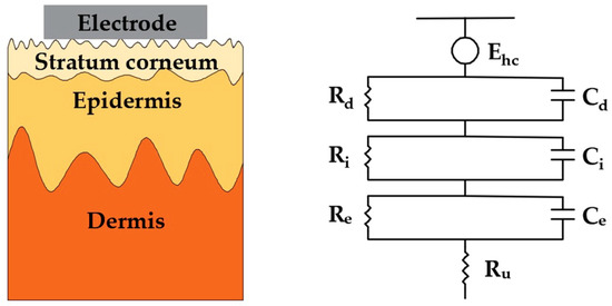 Dry Electrodes for Human Bioelectrical Signal Monitoring