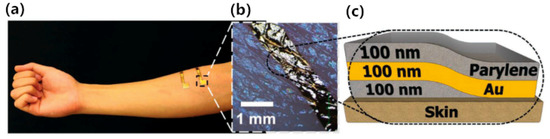 Dry Electrodes for Human Bioelectrical Signal Monitoring